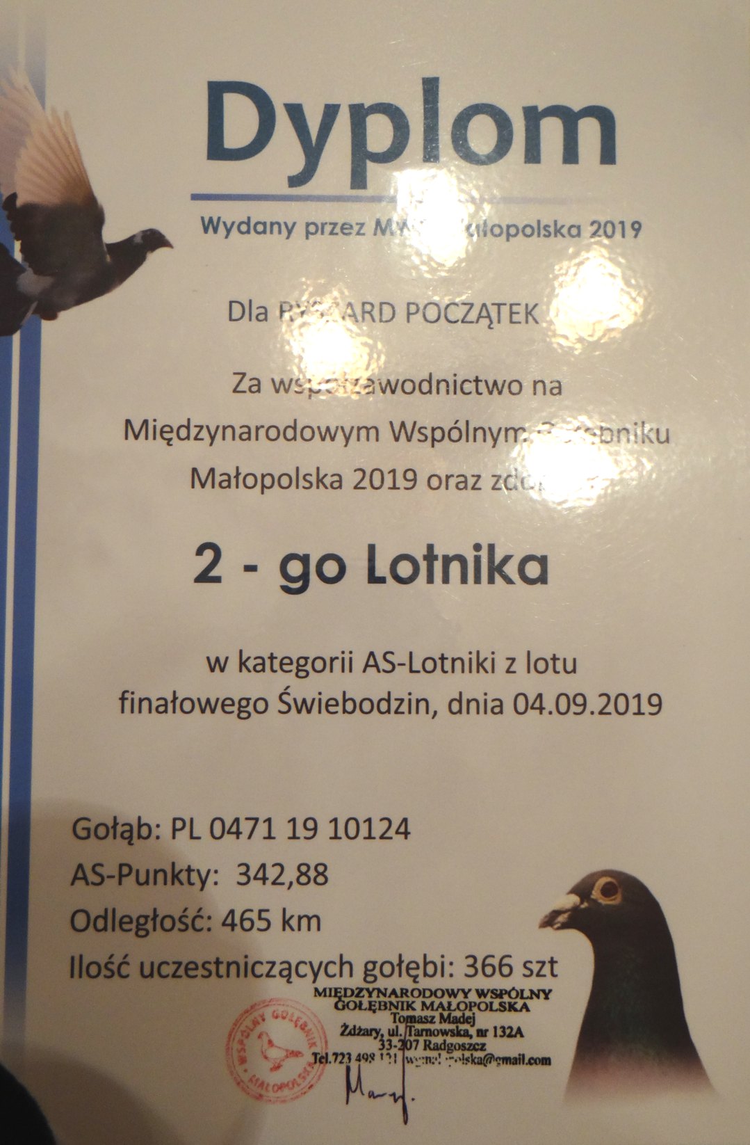 1 Lotnik WG Super Gołąb - Profesjonalny portal aukcyjny gołębi ...