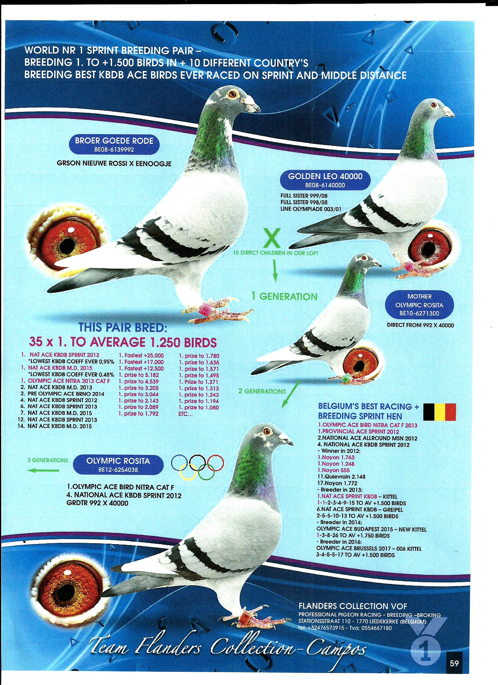 DV-03294-20-1343 Super inbred linii " Kittel " Dirka van Den Bulcka - Profesjonalny portal ...