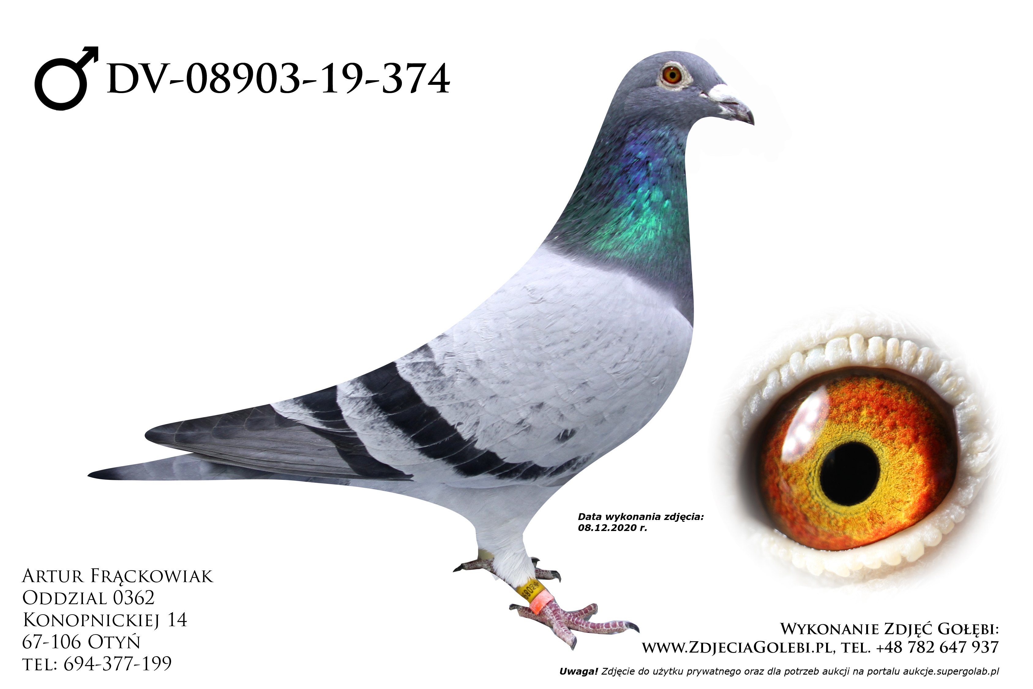 DV-08903-19-374 - linia Marcel Wouters x Ad Schaerlaeckens ...