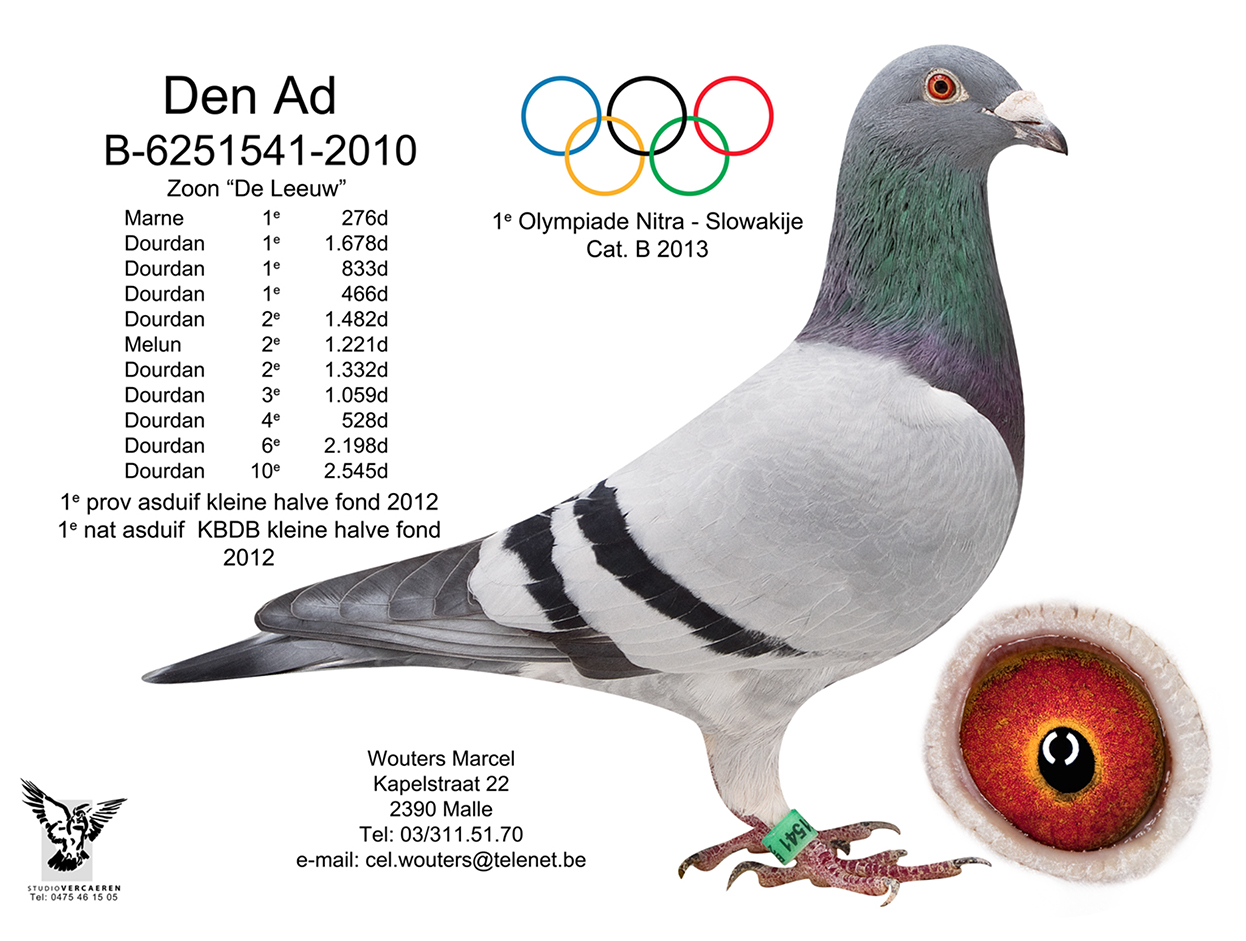 DV-08903-19-374 - linia Marcel Wouters x Ad Schaerlaeckens ...