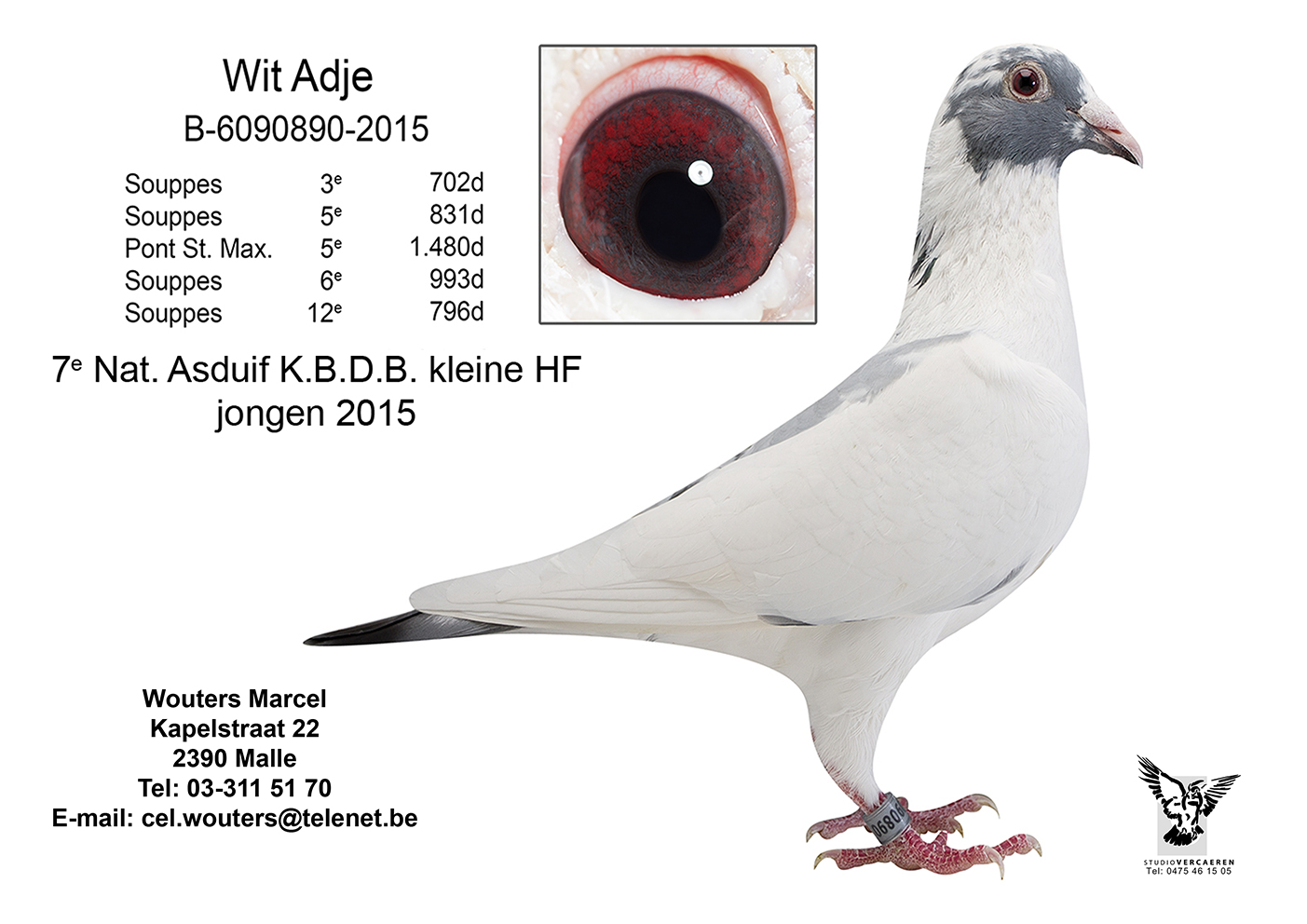 DV-08903-19-374 - linia Marcel Wouters x Ad Schaerlaeckens ...