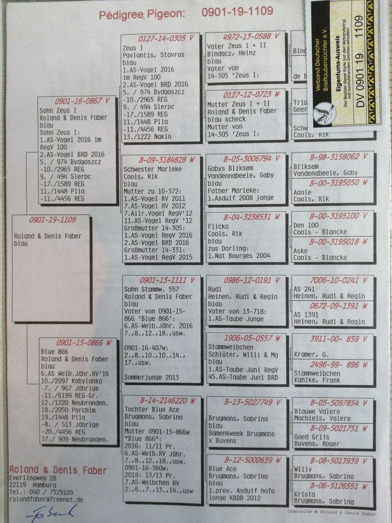 DV-0901-19-1109 - Profesjonalny portal aukcyjny gołębi pocztowych ...