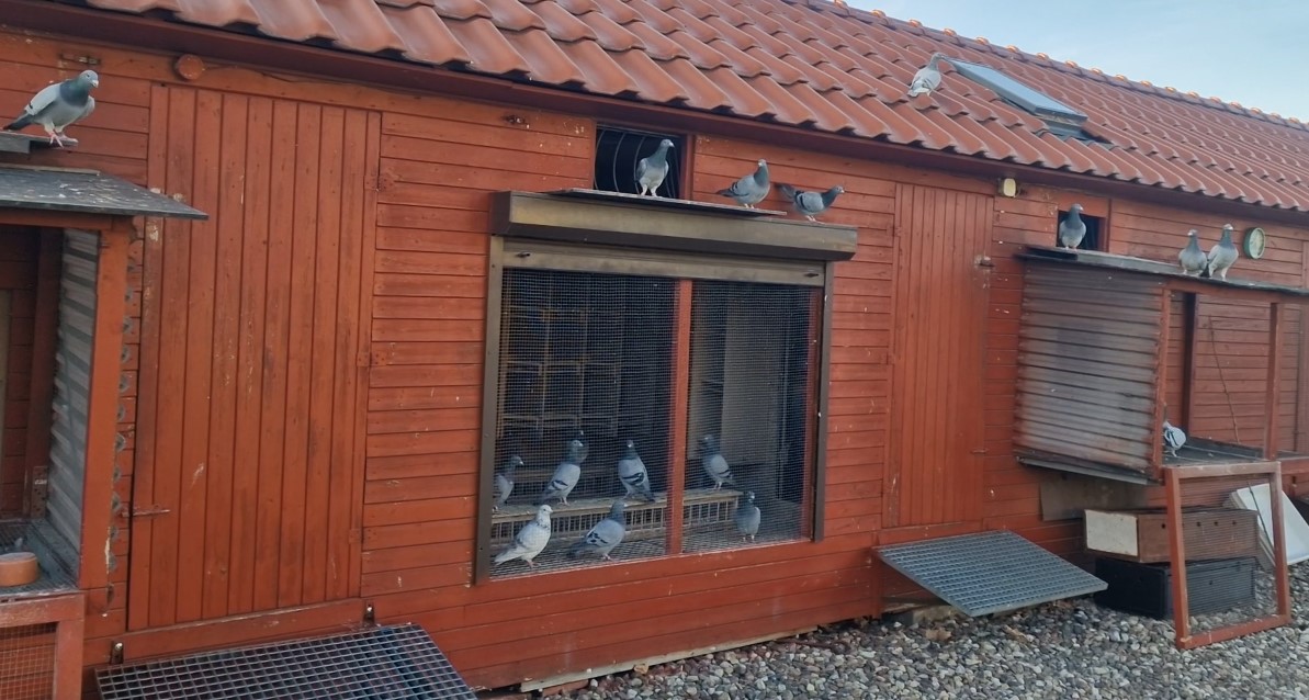 Krala Grzegorz i Korol Mirosław- 4 Przodownik Polski kat A Młode ...