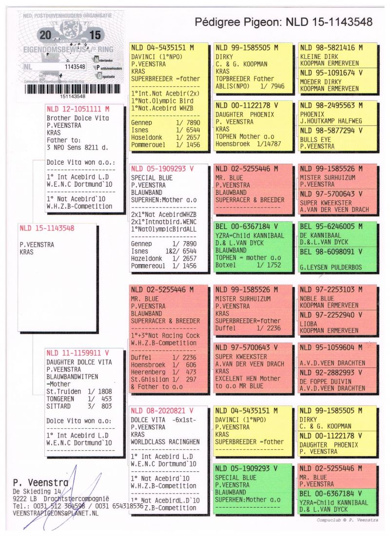 Nl-20-1736204 po oryg. Peter Veenstra inbred Mr Blue i inbred Davinci ...