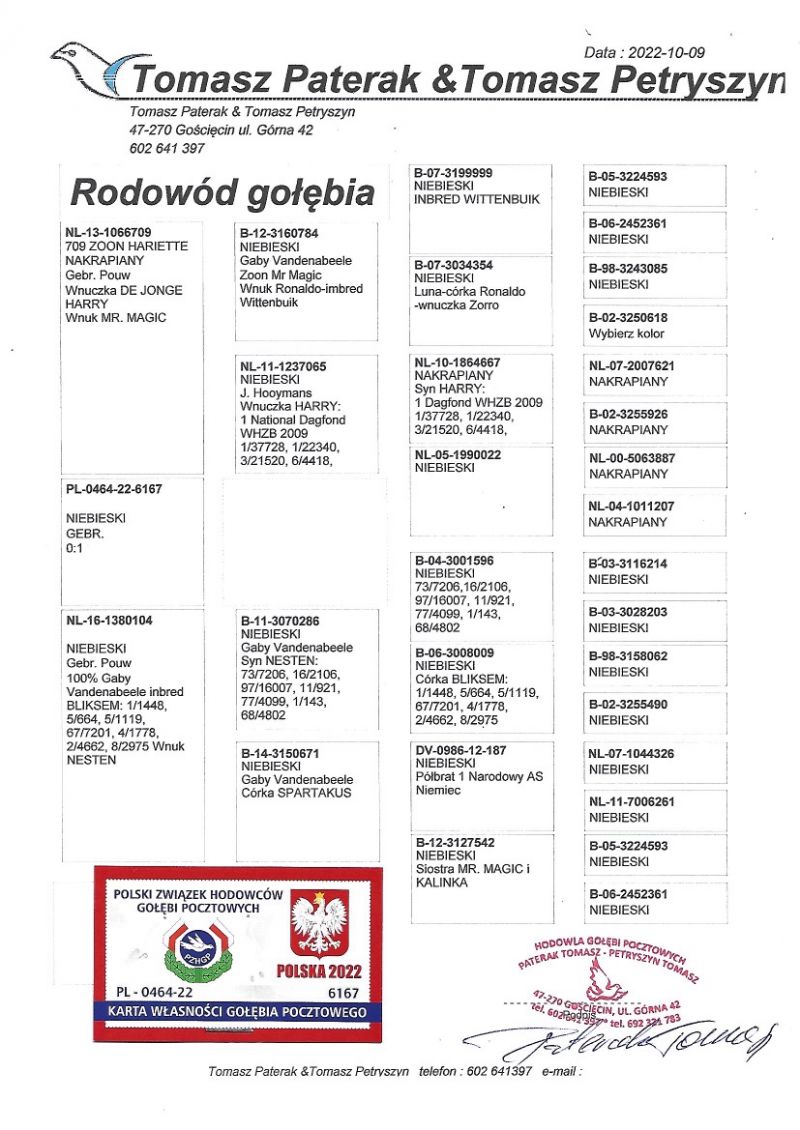 Paterak/Petryszyn WANDENABEELE - Profesjonalny portal aukcyjny gołębi ...