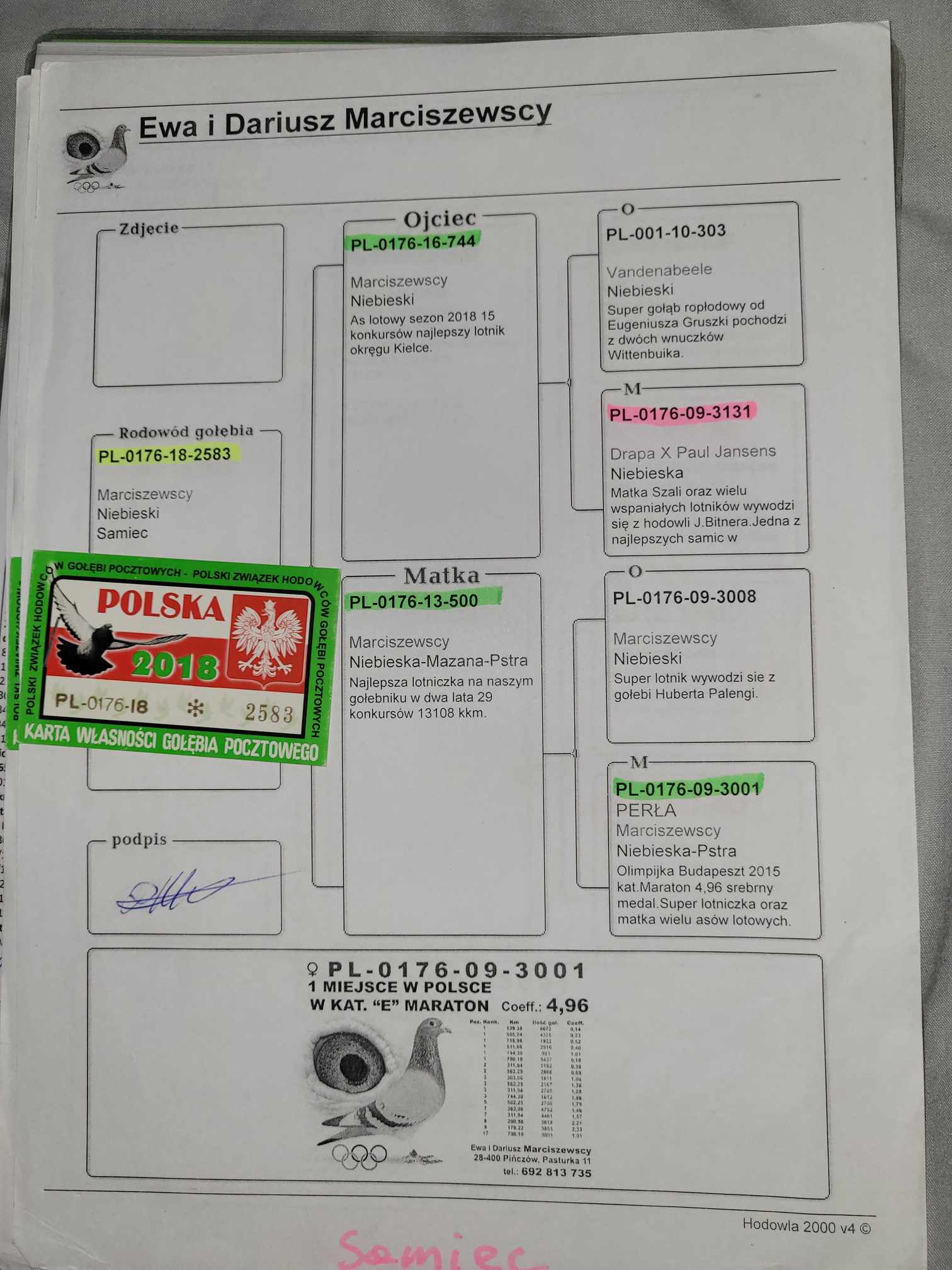 PL-0176-18-2583 ORG. D. Marciszewski - Profesjonalny portal aukcyjny ...