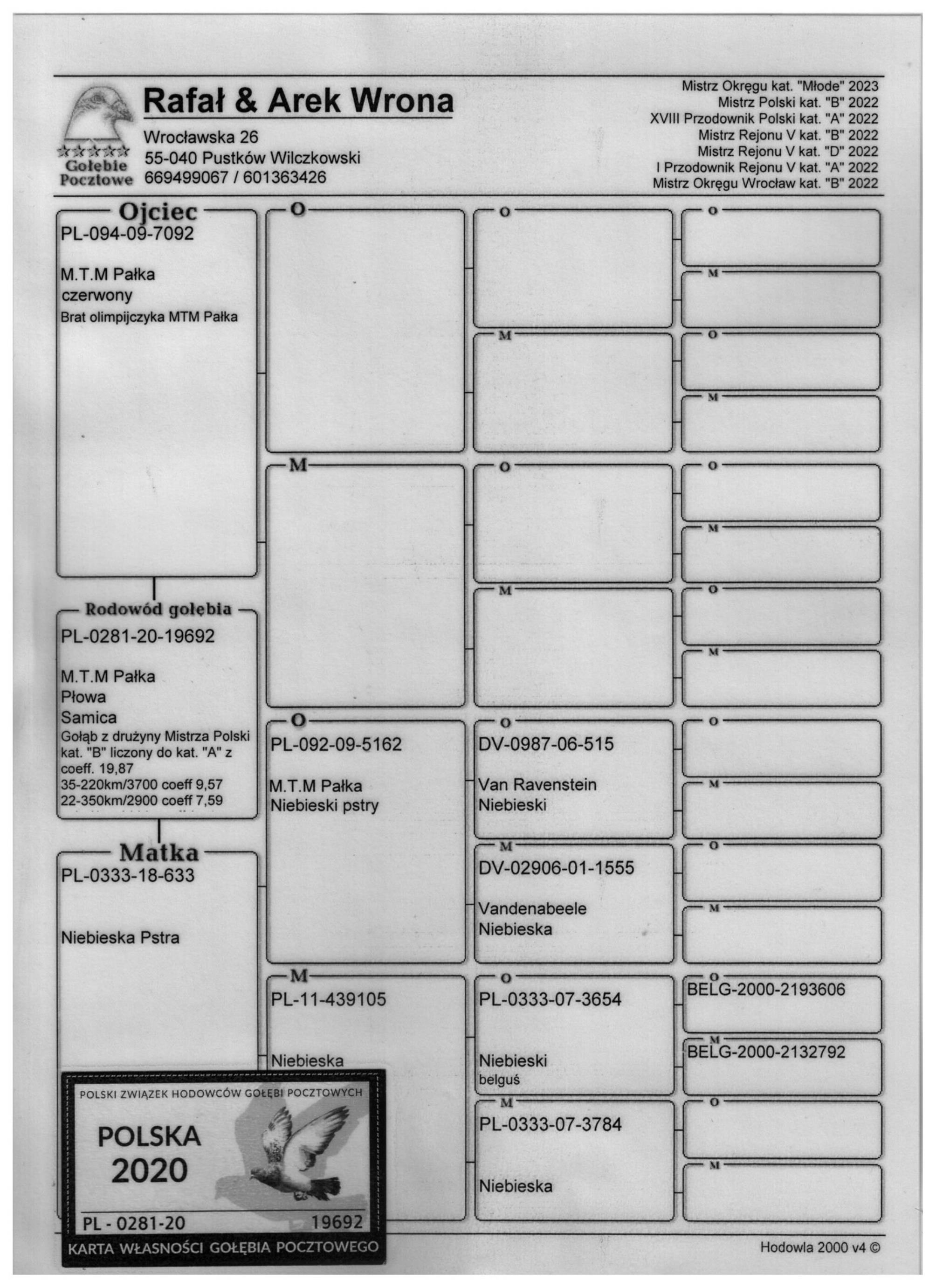 Pl 0281 20 19692 Profesjonalny Portal Aukcyjny Gołębi Pocztowych