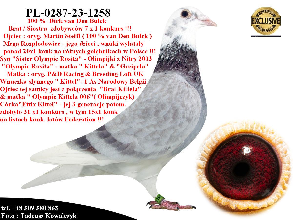PL-0287-23-1258 Mega geny hodowli Dirka van Den Bulcka - Profesjonalny ...