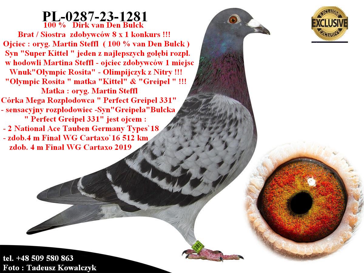 PL-0287-23-1281 Mega geny hodowli Dirka van Den Bulcka - Profesjonalny ...