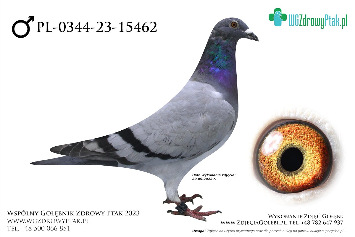 PL-0344-23-15462: TOMASZ CZAPLINSKI, 17. Lotnik, m in 40m, 28m, 14m ...