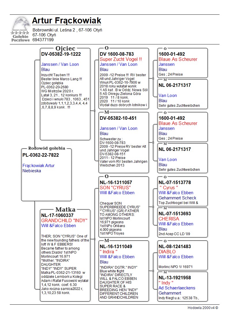 PL-0362-22-7822 Inbred Van Loon x Will & Falco Ebben - Profesjonalny portal aukcyjny gołębi ...