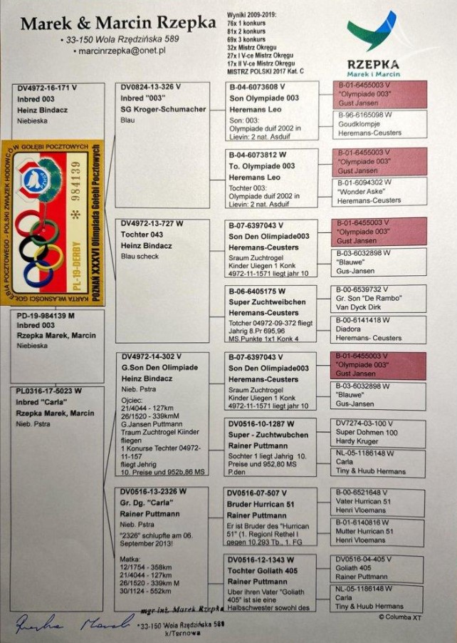 24 konk. Extra Finał Podhale 2024 r. Team Janowiak-Majda
