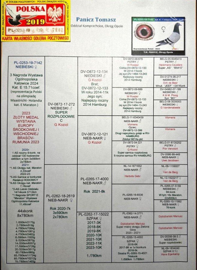 24 konk. Extra Finał Podhale 2024 r. Team Janowiak-Majda