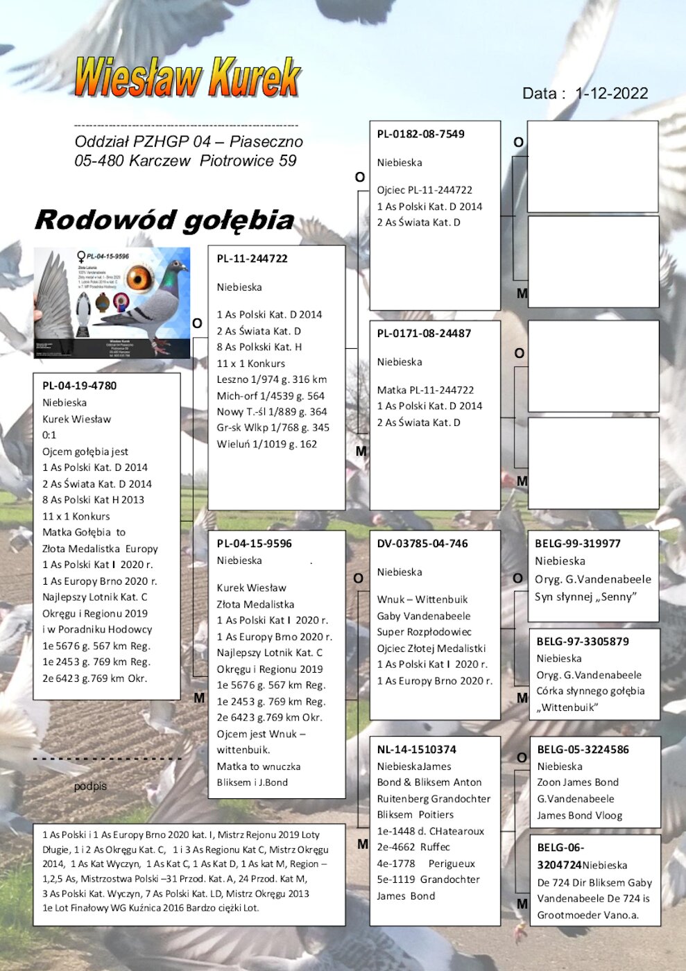 PL-04-19-4780 - Profesjonalny portal aukcyjny gołębi pocztowych ...