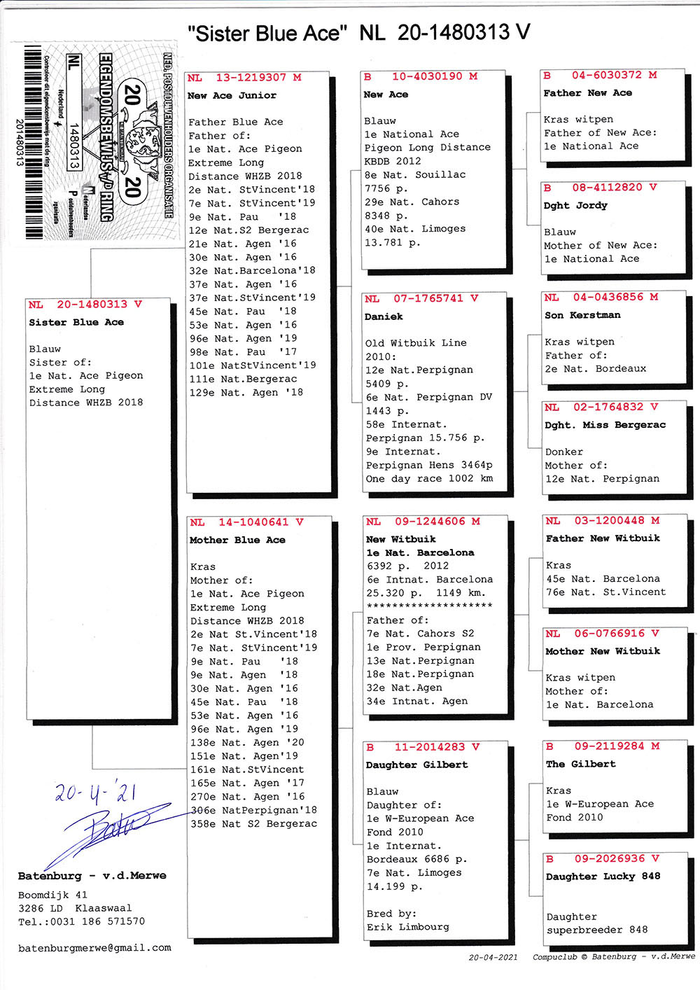 PL-04-22-5722 - syn New Laureat i Blue Ace x siostra Blue Ace ...