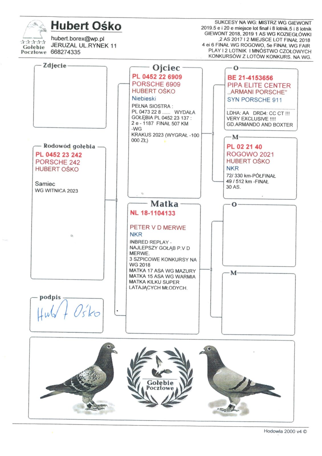 PL-0452-23-242: Osko Hubert - Profesjonalny portal aukcyjny gołębi pocztowych, gołębie od ...