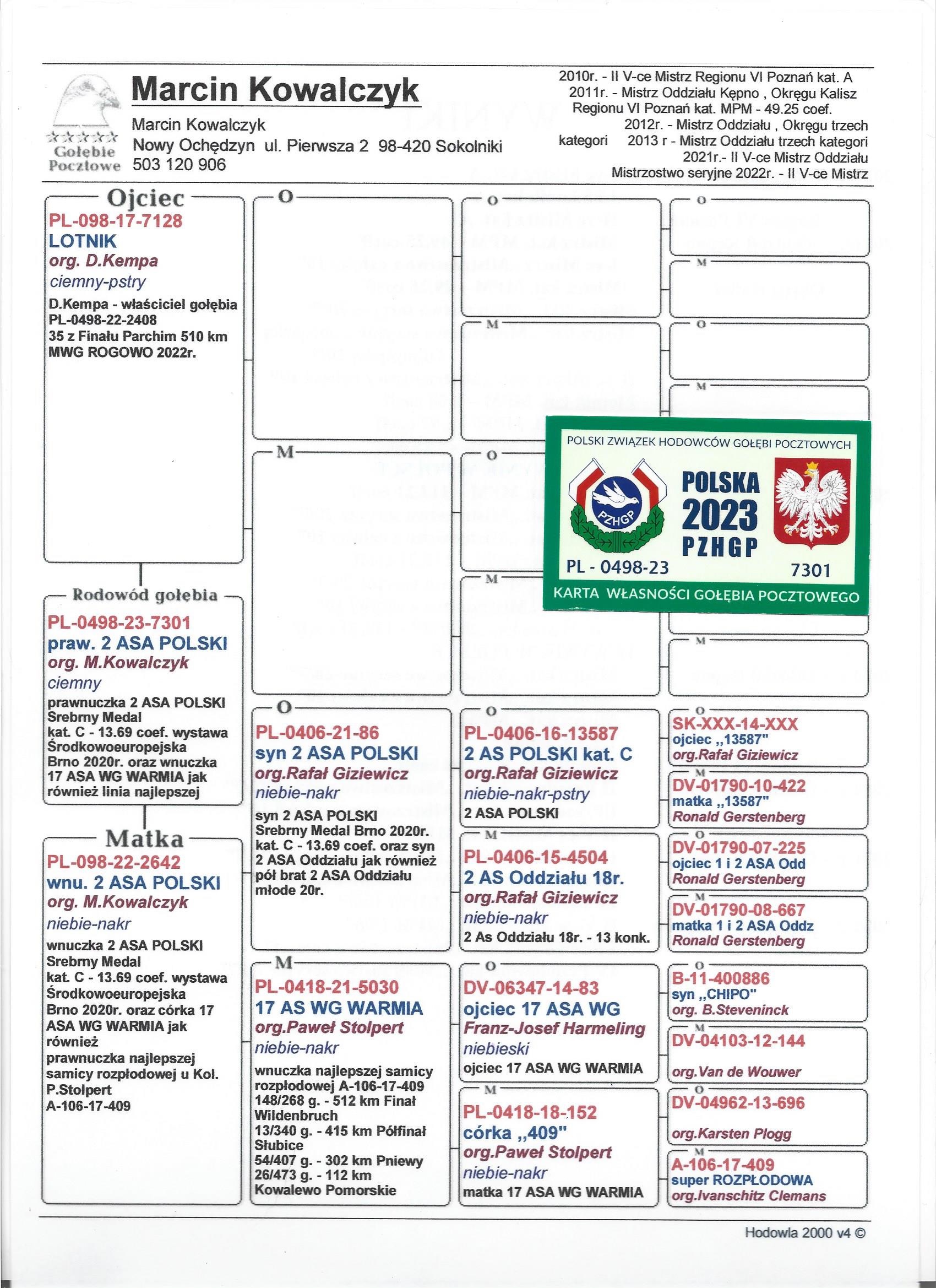 PL-0498-23-7301 prawnuk 2 ASA POLSKI kat. C - Profesjonalny portal ...